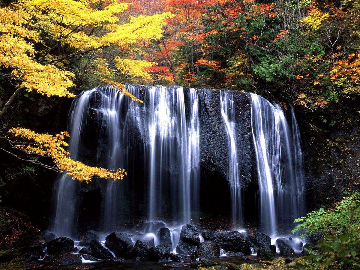 URABANDAI LAKE RESORT - Hotels Rooms & Rates | Urabandai, Goshikinuma ...