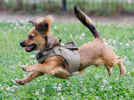 LCO-RESORT - 宿泊予約は【じゃらんnet】