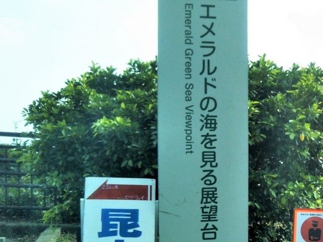 バンナ公園の写真一覧(2ページ目) - じゃらんnet