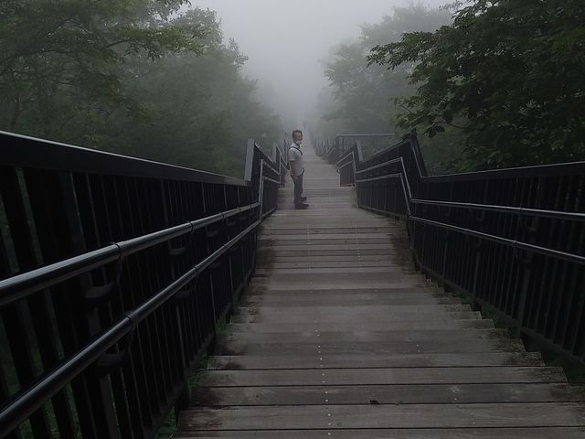 霧降高原の写真一覧(2ページ目) - じゃらんnet