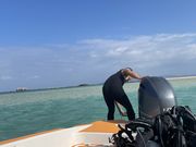 石垣市のナイトツアーランキングTOP10 - じゃらんnet