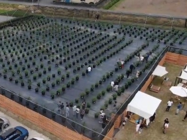 【MILAND FARM】アクセス・営業時間・料金情報 - じゃらんnet