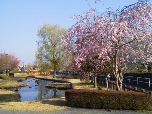 【結城】アクセス・営業時間・料金情報 - じゃらんnet