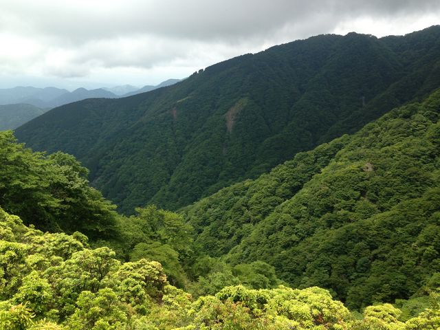 丹沢山の写真一覧 - じゃらんnet
